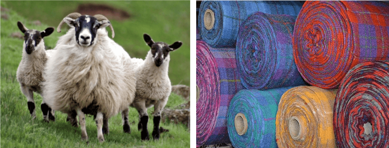 Wool’s cool. It’s not just for winter. - Sofas & Stuff Blog | Interior ...